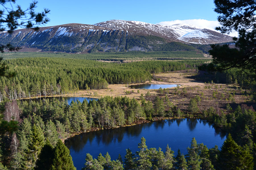 Extraordinary Adventure Club - BIRD Luxury Travel PR